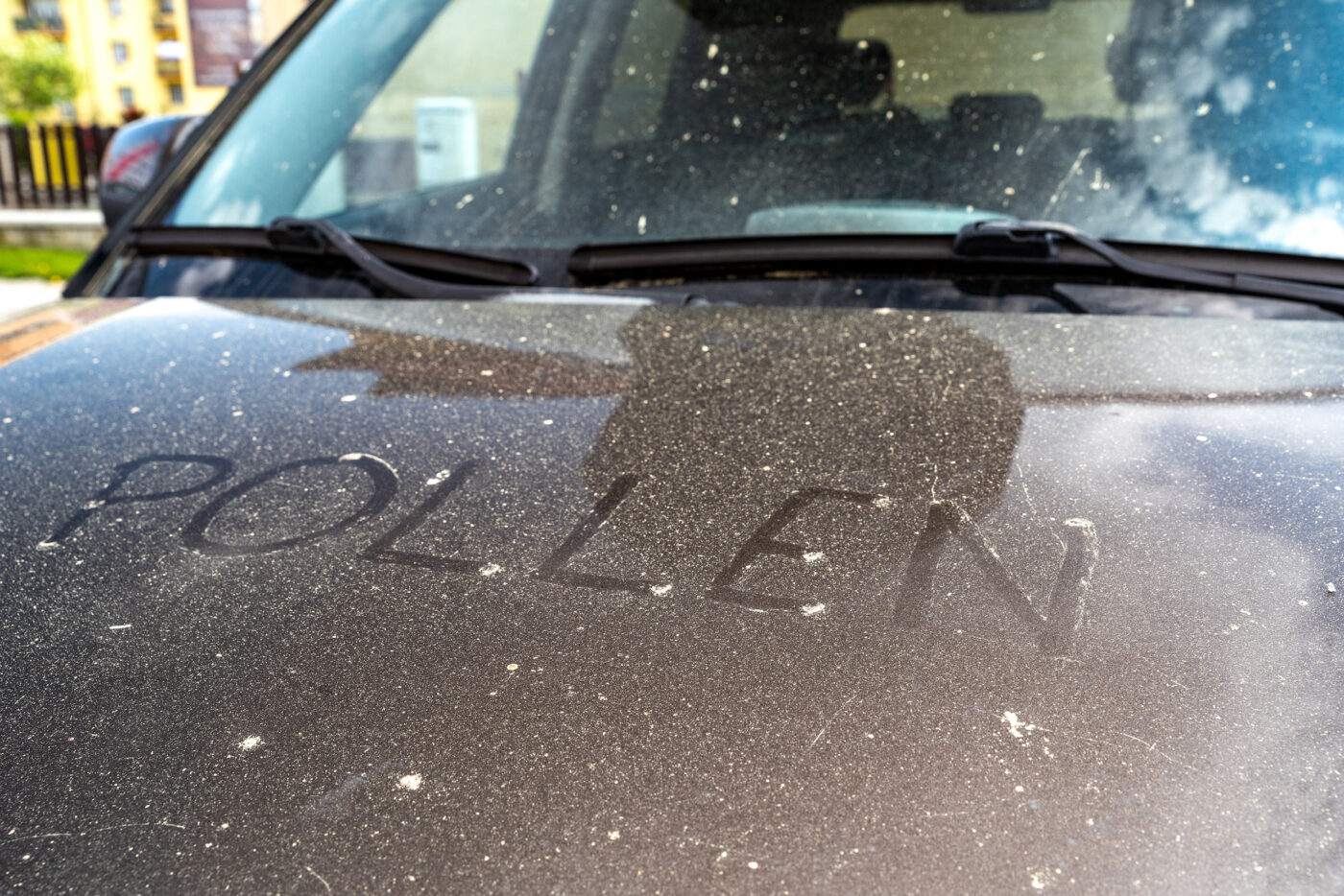 Kick Pollen to the Curb this Spring - BlueWave Express Car Wash ...